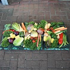 Vegetable Coffin Spray - Funeral Flowers Plantwise Florist